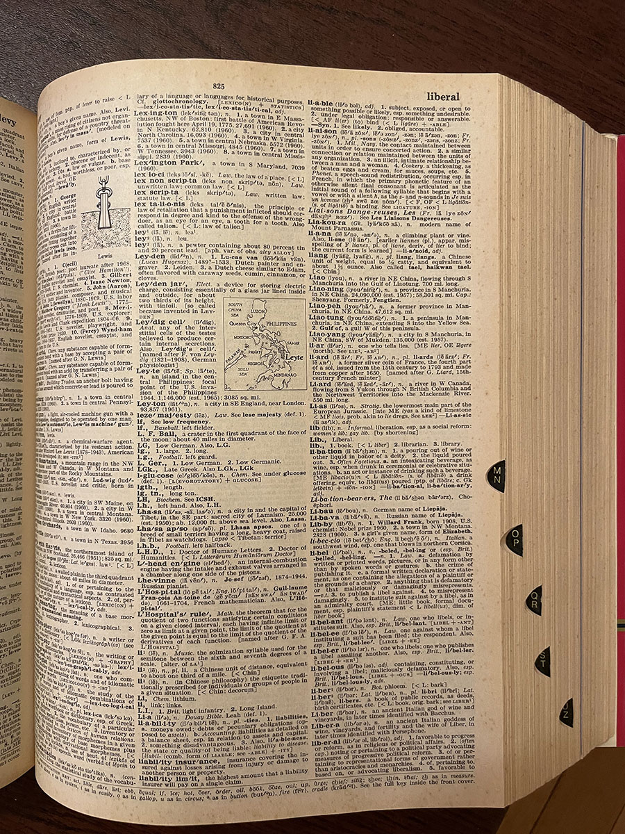 Look through the dictionary. Find a word that sounds interesting ...